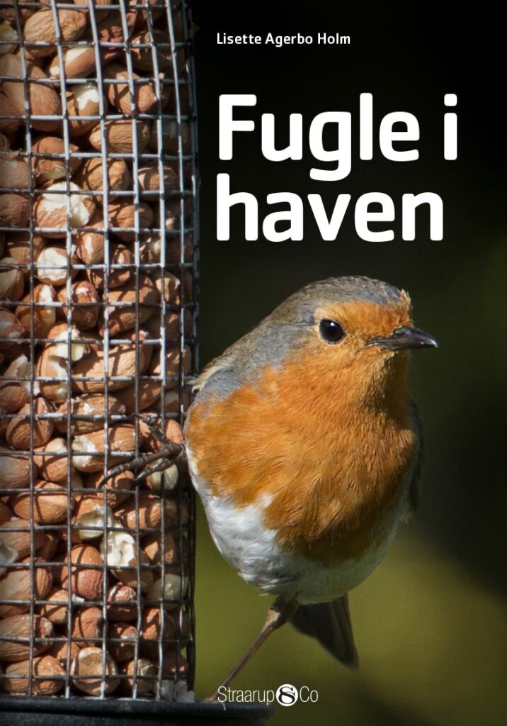 Fugle I Haven: Fordele Og Tips | Boghandel